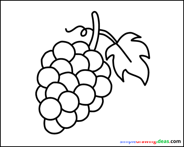 How to draw grapes step by step - Simple Drawing Ideas