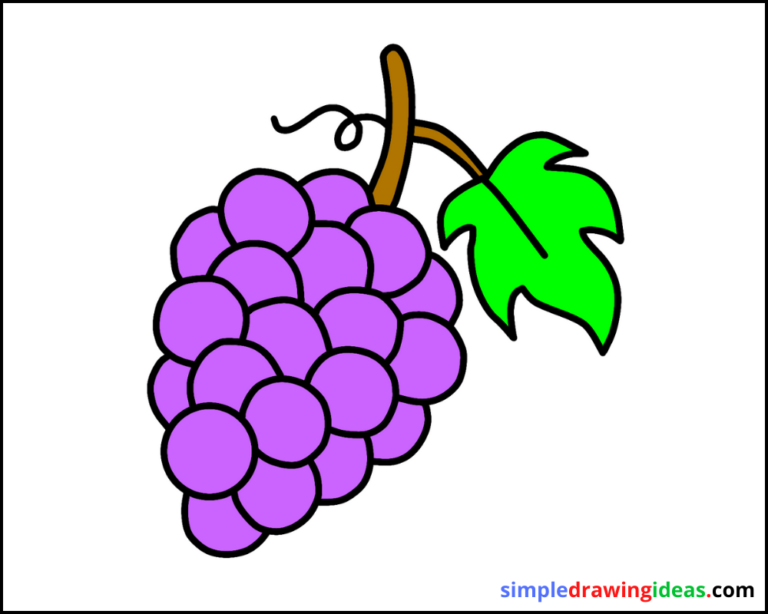 How to draw grapes step by step - Simple Drawing Ideas