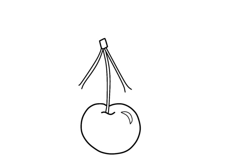 How to draw a cherry step by step for beginners - Simple Drawing Ideas